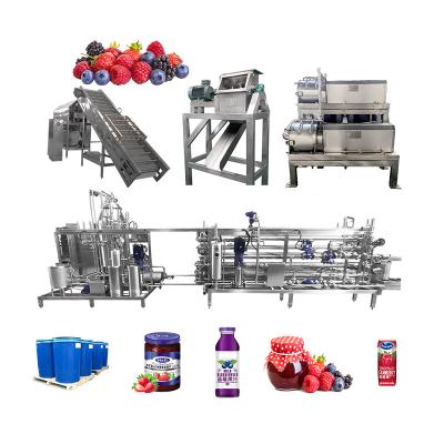 China Industrial Grape Juice Processing Line 1000T/Day Stainless Steel for sale