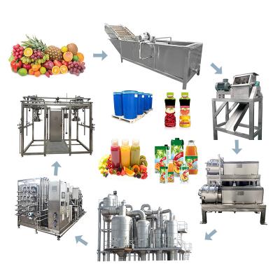 China Citrus Processing Line for Juice and Oil Production for sale