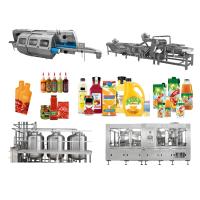 China Customized Industrial Blueberry Processing Machinery Production Solutions for sale