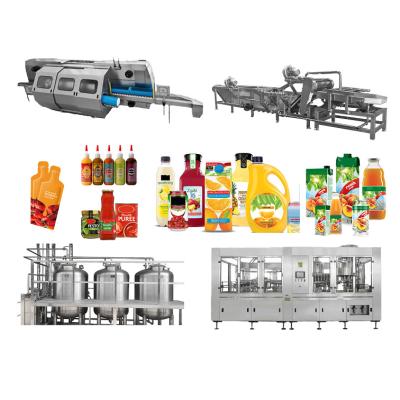 China Customized Industrial Blueberry Processing Machinery Production Solutions for sale