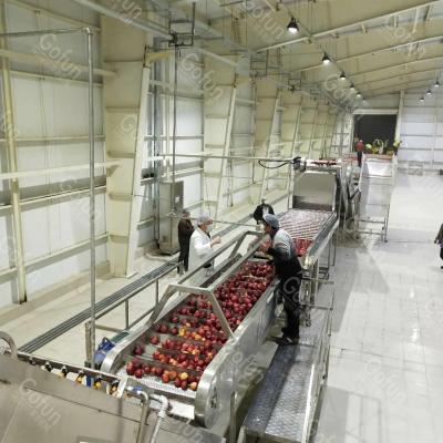 China 380V 50Hz Apple Jam / Juice Production Line 2t/H Water Saving for sale