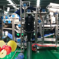 China 50 T/D Automatic Apple Processing Production Line SUS404 One Stop Service for sale