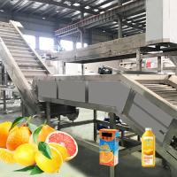 China Energy-efficient High-quality Citrus Juice Processing Line for Factories for sale