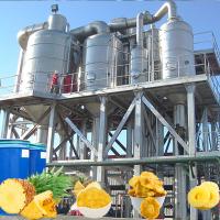 China Energy Saving Commercial Pineapple Jam Production Line Automatic Juice Processing Line for sale