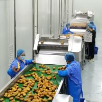 China 2026 Factory's Latest Customized Mango Puree Processing Production Line for sale