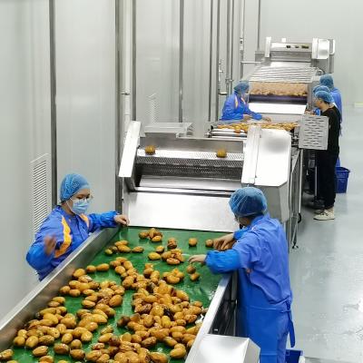 China 2026 Factory's Latest Customized Mango Puree Processing Production Line for sale