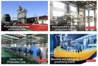 China Fully Automatic Lemon Juice  Processing Machine Orange Juice Production Machinery for sale