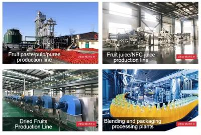 China Fully Automatic Lemon Juice  Processing Machine Orange Juice Production Machinery for sale