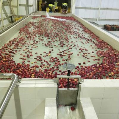 China Apple chip freeze drying machine processing line Intelligent temperature control Rehydration rate greater than 90% for sale
