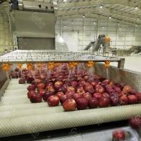 China Multifunctional Industrial Apple Juice Processing Machine For Applesauce Production Line for sale