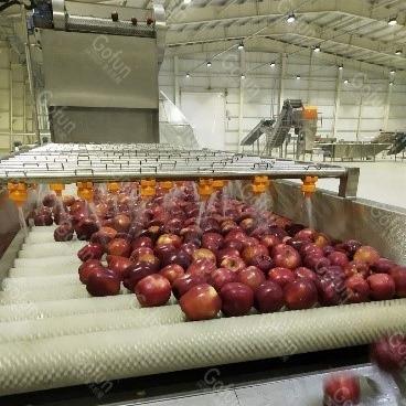 China Multifunctional Industrial Apple Juice Processing Machine For Applesauce Production Line for sale