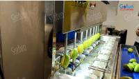 China Intelligent Mango Peeling Machine Supplier For Papaya Apple Potato Peeling Processing for sale