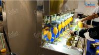 China Automatic Fruit & Vegetable Processing Line | For Mango/Apple/Pineapple/Tomato Dried Fruits and Preserved Fruits for sale