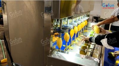 China Automatic Fruit & Vegetable Processing Line | For Mango/Apple/Pineapple/Tomato Dried Fruits and Preserved Fruits for sale
