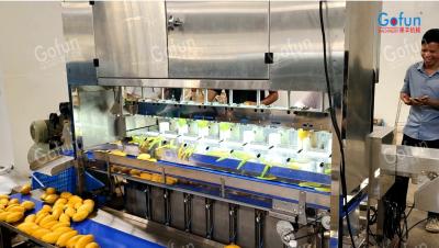 China Stainless Steel Mango Peeling Machine Suitable For Apples Potatoes Carrots Etc. Automatic Batch Peeling for sale