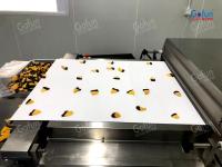 China Mango Dried Fruit Line with 1 t/h-20 t/h Capacity SUS304/SUS316 Material for Osmotic Dehydration & Hot Air Drying for sale