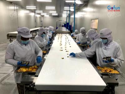 China Turnkey Dried Mango Processing Line with Osmo-Dehydration & Air Drying for 1 t/h-20 t/h Capacity for sale