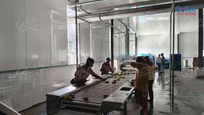 China Complete Set Of Pineapple Processing Line Machines Selected By More Than 300 Companies Around The World for sale