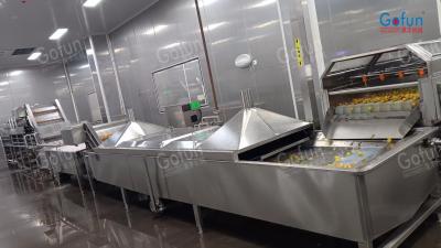 China Modular Large Tomato Processing Line Machine With Daily Output Of 100 Tons And Above for sale
