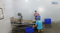 China Energy-saving Citrus Processing Line Essential Oil Extraction From Peel Juice Extraction System for sale