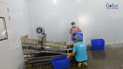 China Energy-saving Citrus Processing Line Essential Oil Extraction From Peel Juice Extraction System for sale
