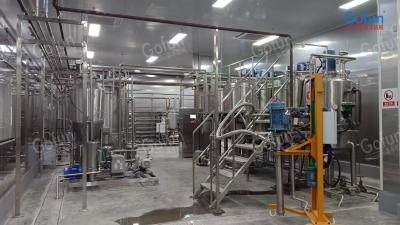 China Industrial Tomato Processing Line 60-1500 t/d Capacity 304 Stainless Steel for sale