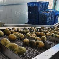 China Dried Fruit Production Line Tropical Fruit Processing Machinery Expert for sale
