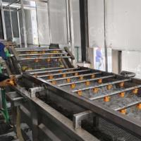 China High-Yield Low-Consumption Apple Processing Line Original Berry Dried Production Line Customized Service for sale