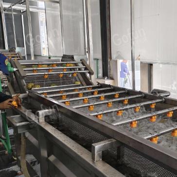 China High-Yield Low-Consumption Apple Processing Line Original Berry Dried Production Line Customized Service for sale
