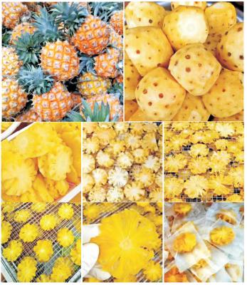 China Low-Temperature Dehumidifying for Fruit Drying Machines for sale