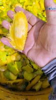 China Complete Fruit Processing Line | Washing, Juicing, Concentration & Blending – One Turnkey Solution for sale