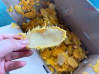 China Mango Puree Processing Line | Complete Factory Machinery & Aseptic Filling System for sale