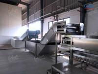 China Complete Fruit & Vegetable Processing Line | Washing to Juicing | Turnkey Plant for sale