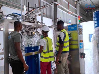 China High Capacity 1 t/h-20 t/h SUS304/SUS316 Mango Processing Line with Aseptic Bag Filling for Puree Production for sale