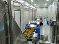 China Mango Puree Processing Line | Complete Factory Machinery & Aseptic Filling System for sale