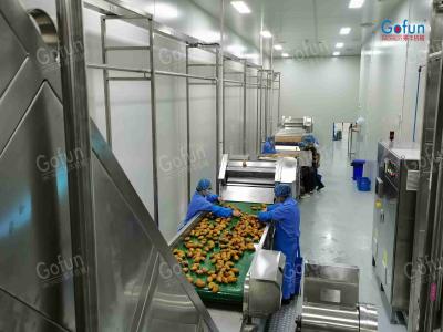 China Mango Processing Plant | Puree Production Line | Dried & Juice Line | Complete Fruit Machinery Turnkey Solution OEM for sale
