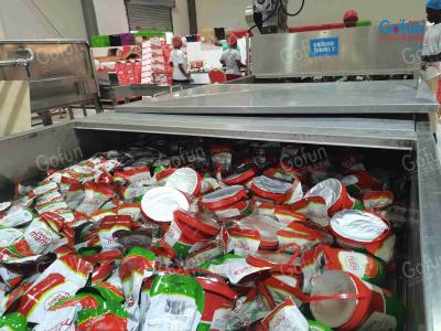China Custom Capacity SUS304 Stainless Steel Turnkey Tomato Processing Line for Tomato Paste Production for sale