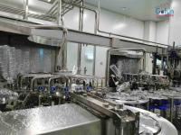 China Complete Blueberry & Berry Processing Line | Turnkey Juice & Puree Factory Equipment for sale