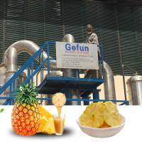 China Fully Automatic Pineapple Jam Processing Line with Food-Grade 304 Stainless Steel and Customizable Capacity for Commercial Food Factories for sale
