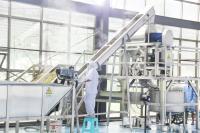 China Complete Fruit & Vegetable Processing Line | Washing to Juicing | Turnkey Plant for sale
