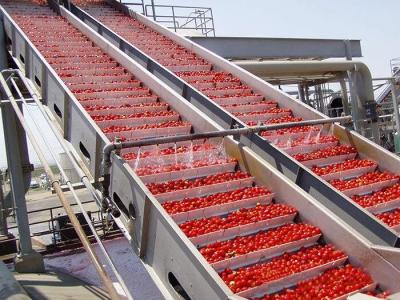 China Complete sauce processing machine for tomato processing plants for sale
