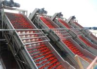 China Multi-Functional Tomato Processing Line | All-in-One Production Plant for Paste, Juice, Sauce & Diced Tomato for sale