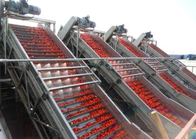 China Multi-Functional Tomato Processing Line | All-in-One Production Plant for Paste, Juice, Sauce & Diced Tomato for sale