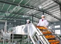 China Complete Fruit & Vegetable Processing Line | Washing to Juicing | Turnkey Plant for sale