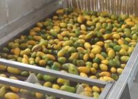 China Aseptic Mango Puree Line – Fresh Flavor Locked for sale