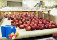 China Professional Fruit Processing Line Apple And Pear Juice Production Machine for sale