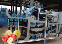 China Dual-Path Apple Juice Production Line with 20T/day ~ 1500T/day Capacity and Food Grade SUS 304/316 for sale