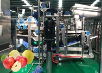 China ISO9001 50 T/D Automatic Apple Production Line 304 Stainless Steel for sale