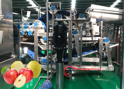 China ISO9001 50 T/D Automatic Apple Production Line 304 Stainless Steel for sale