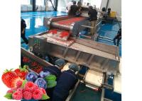 China Linkage Control Strawberry Juice Processing Machine 220V / 380V Voltage for sale